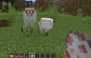 【マイクラ】データパックの入れ方！ローカルとサーバーへの導入方法 - ゼロから始めるマイクラサーバー運用ガイド